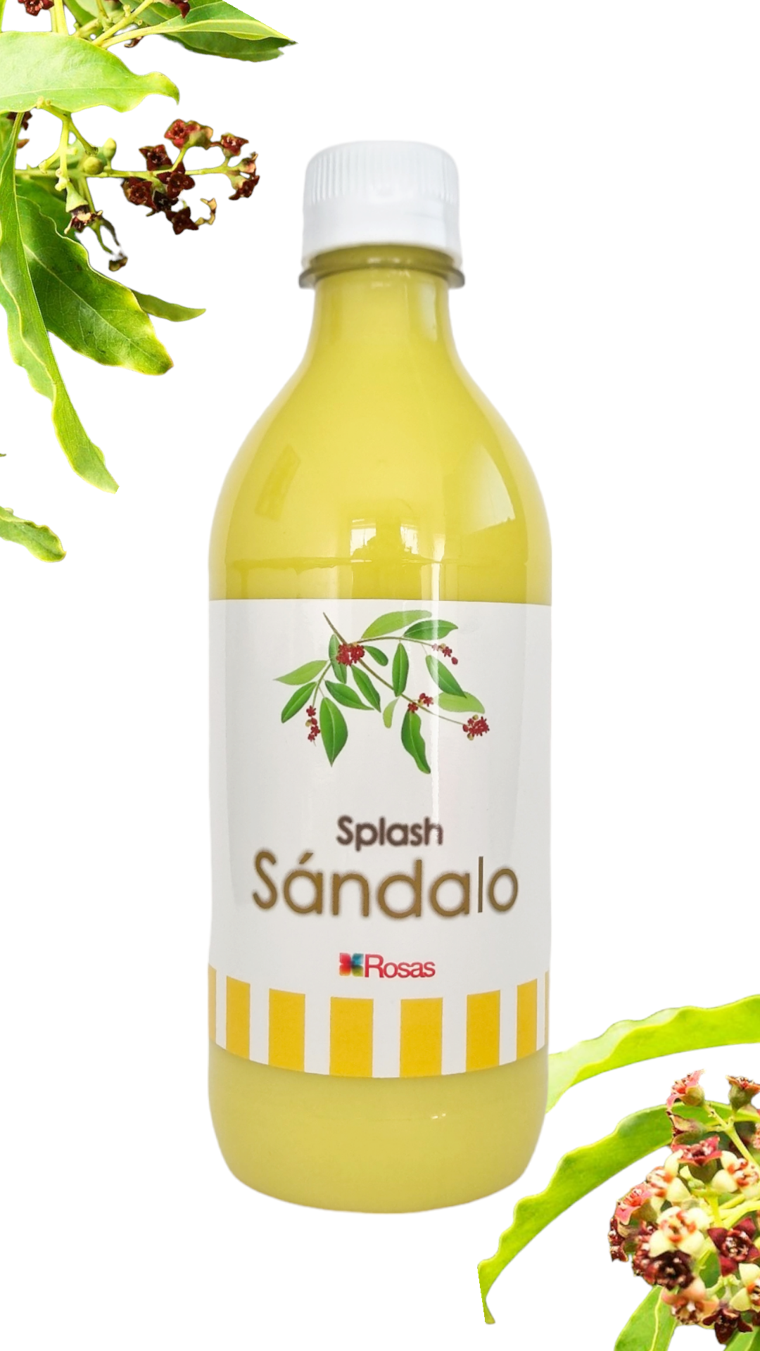 Splash | ROSAS SAS